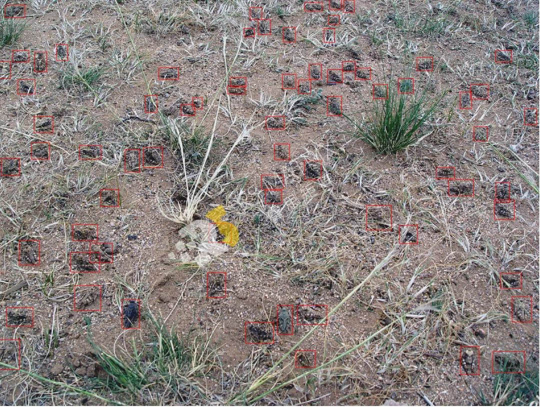 锐思数智“RS Matrix 遥感影像智能识别解决方案”整合华为昇腾深度学习框架 - 中国测绘学会